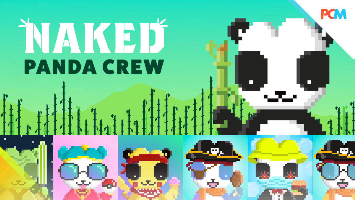 本地 NFT 品牌 Naked Panda Crew 結合 P2E 邊玩邊賺 ＋ DAO 商業槪念 - PCM