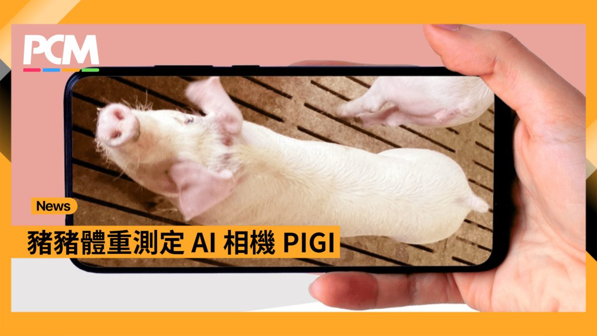 豬豬體重測定 AI 相機——PIGI - PCM